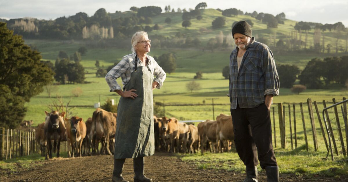 Bellbird | Third Space