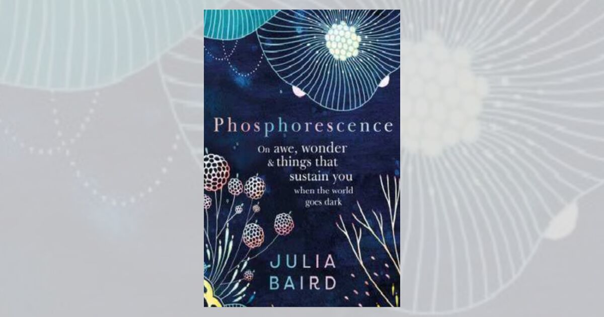 Phosphorescence – Missing the Light | Third Space