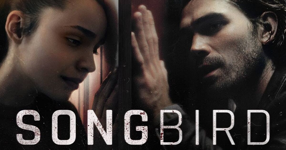 Songbird | Third Space