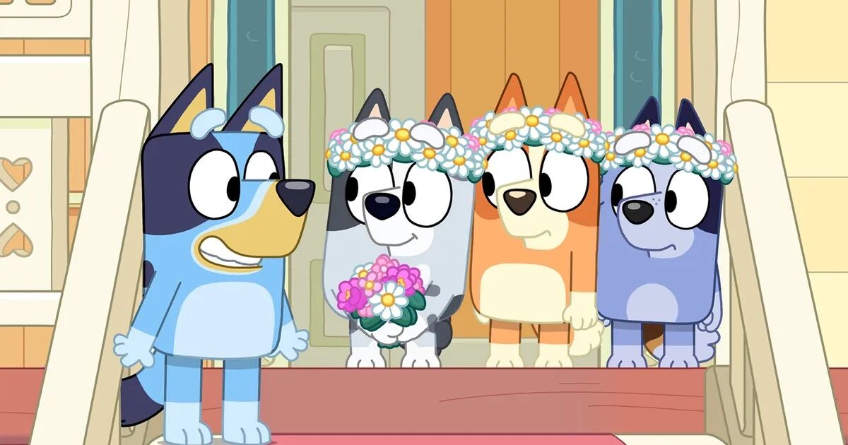 Bluey - The Sign | Third Space